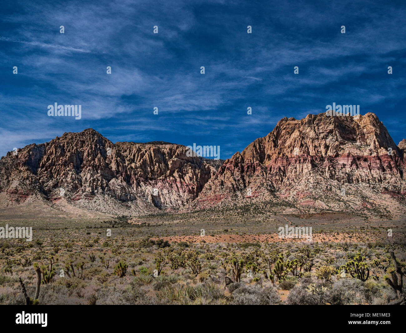 red rock canyon national conservation area, nevada Stock Photo - Alamy
