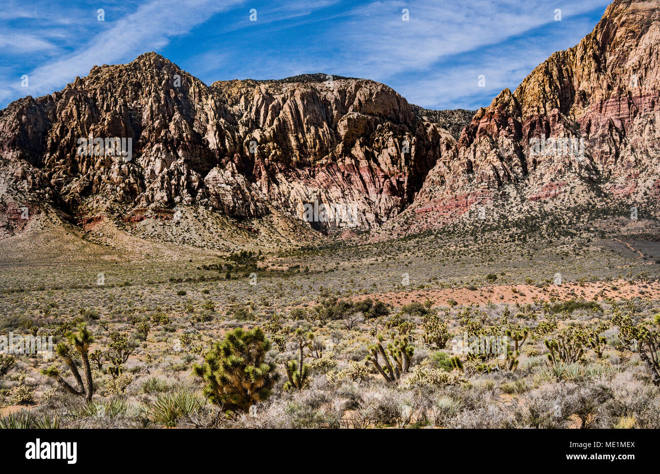 red rock canyon national conservation area, nevada Stock Photo - Alamy