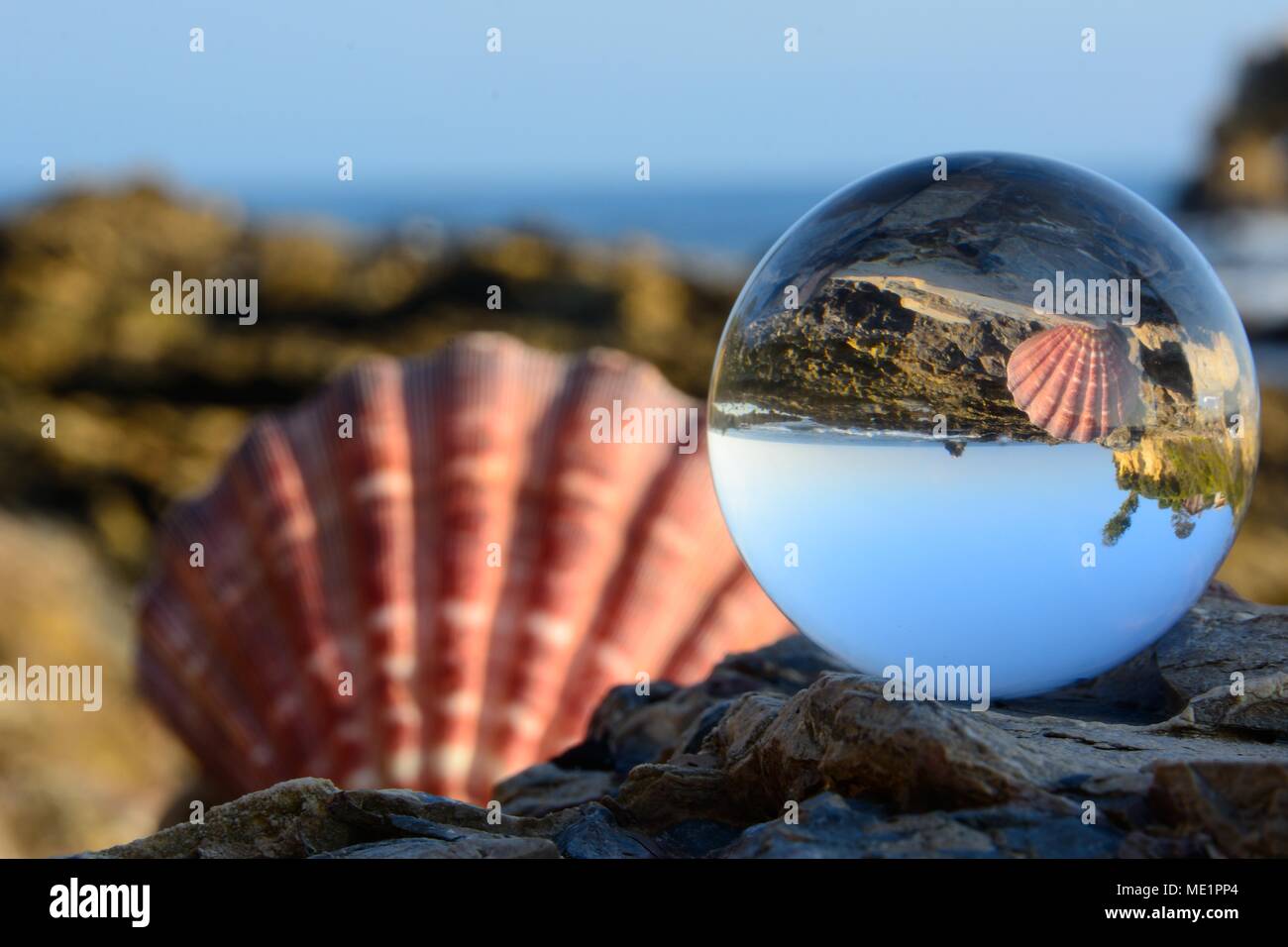 Seashell Circle High Resolution Stock Photography and Images - Alamy