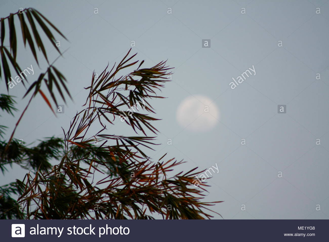 Phases Of The Moon High Resolution Stock Photography and Images - Alamy