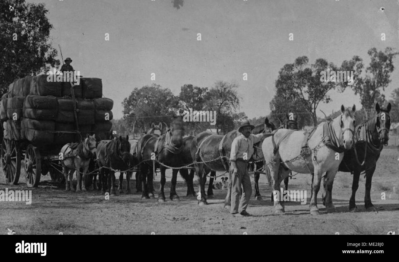Wool wagon australia hi-res stock photography and images - Alamy