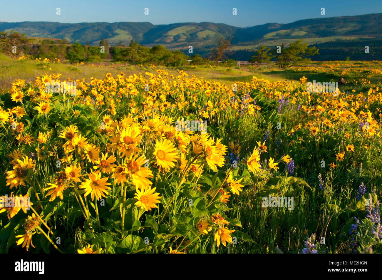 Tom mccall preserve hi-res stock photography and images - Alamy