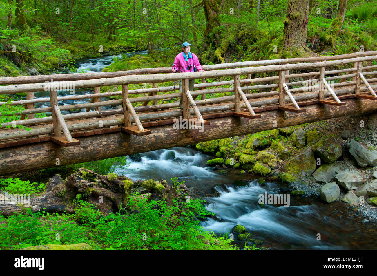 Gorge Trail hiker bridge over Gorton Creek, Mt Hood National Forest ...