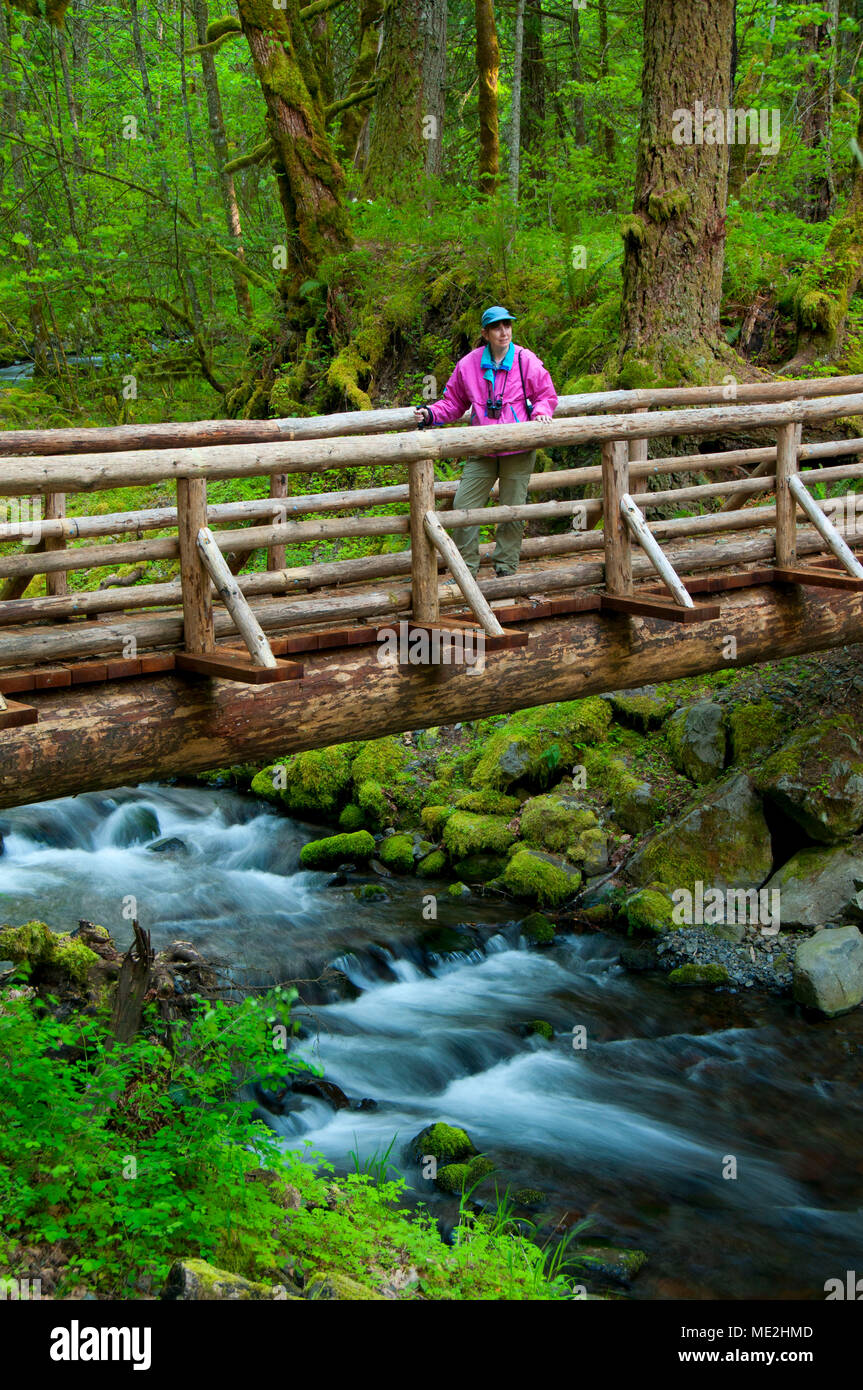 Gorge Trail hiker bridge over Gorton Creek, Mt Hood National Forest ...