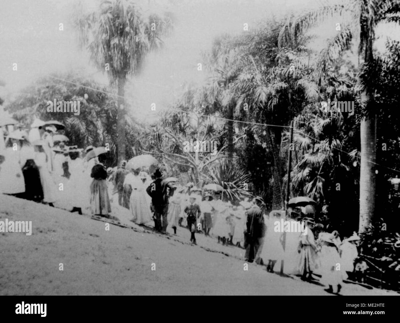 Crowd celebrating Federation Day in the City Botanic Gardens, Brisbane ...
