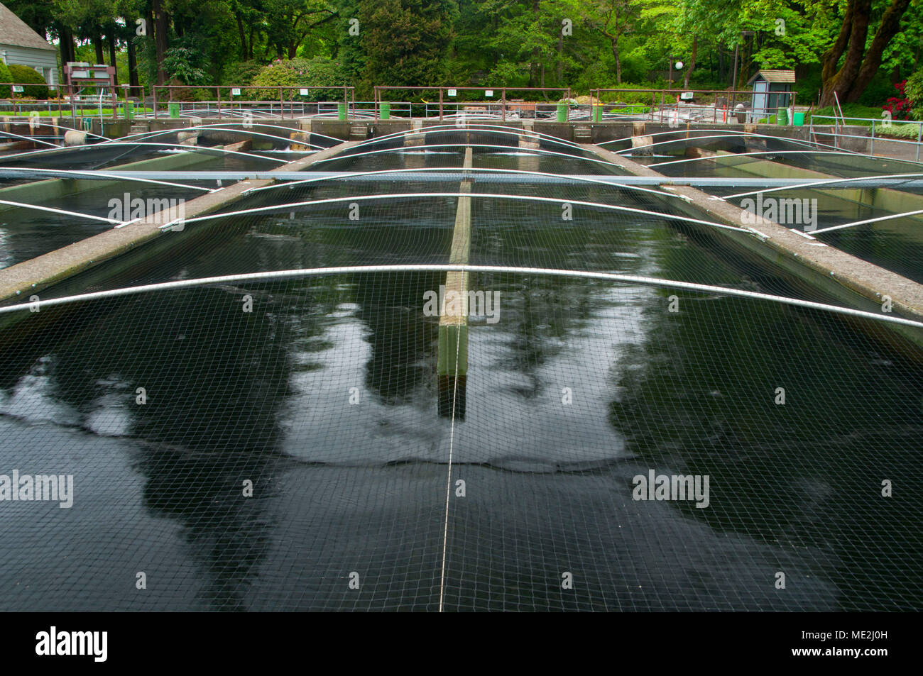 Fish Pen High Resolution Stock Photography and Images - Alamy