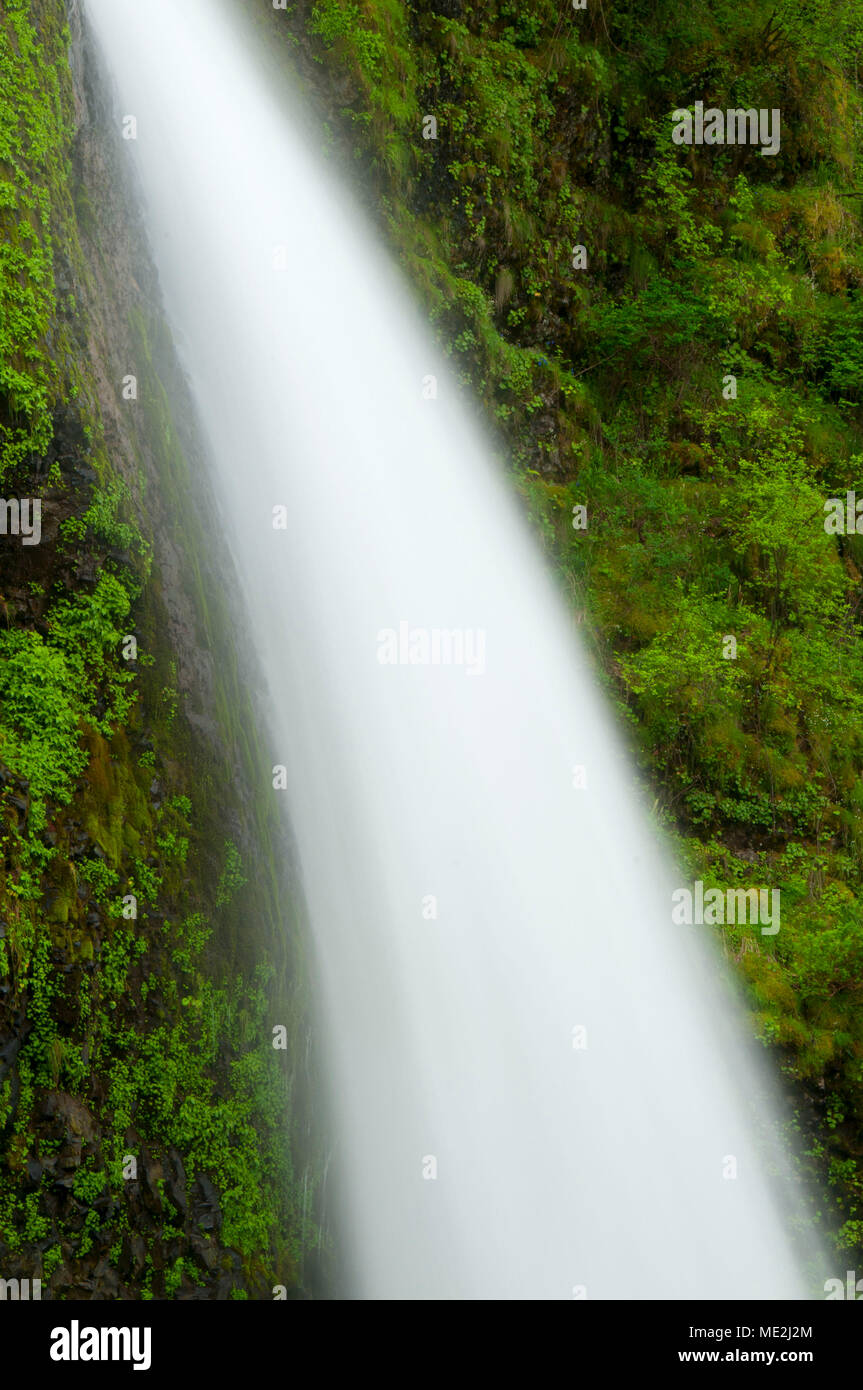 Horsetail Falls, Mt Hood National Forest, Columbia River Gorge National Scenic Area, Oregon ...