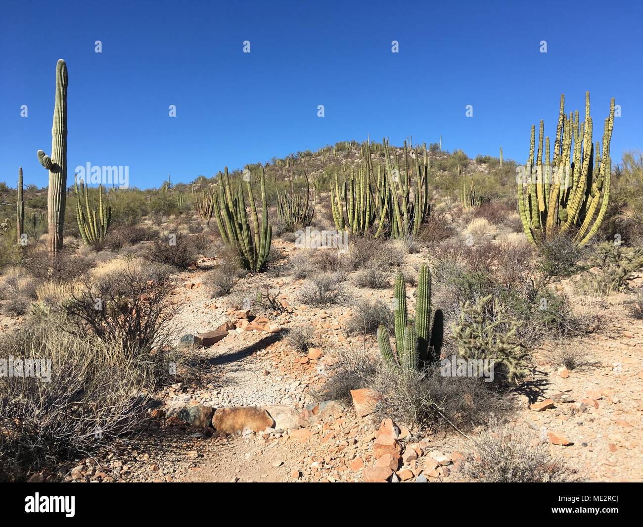 Ice break up on beach in winter Stock Photo - Alamy
