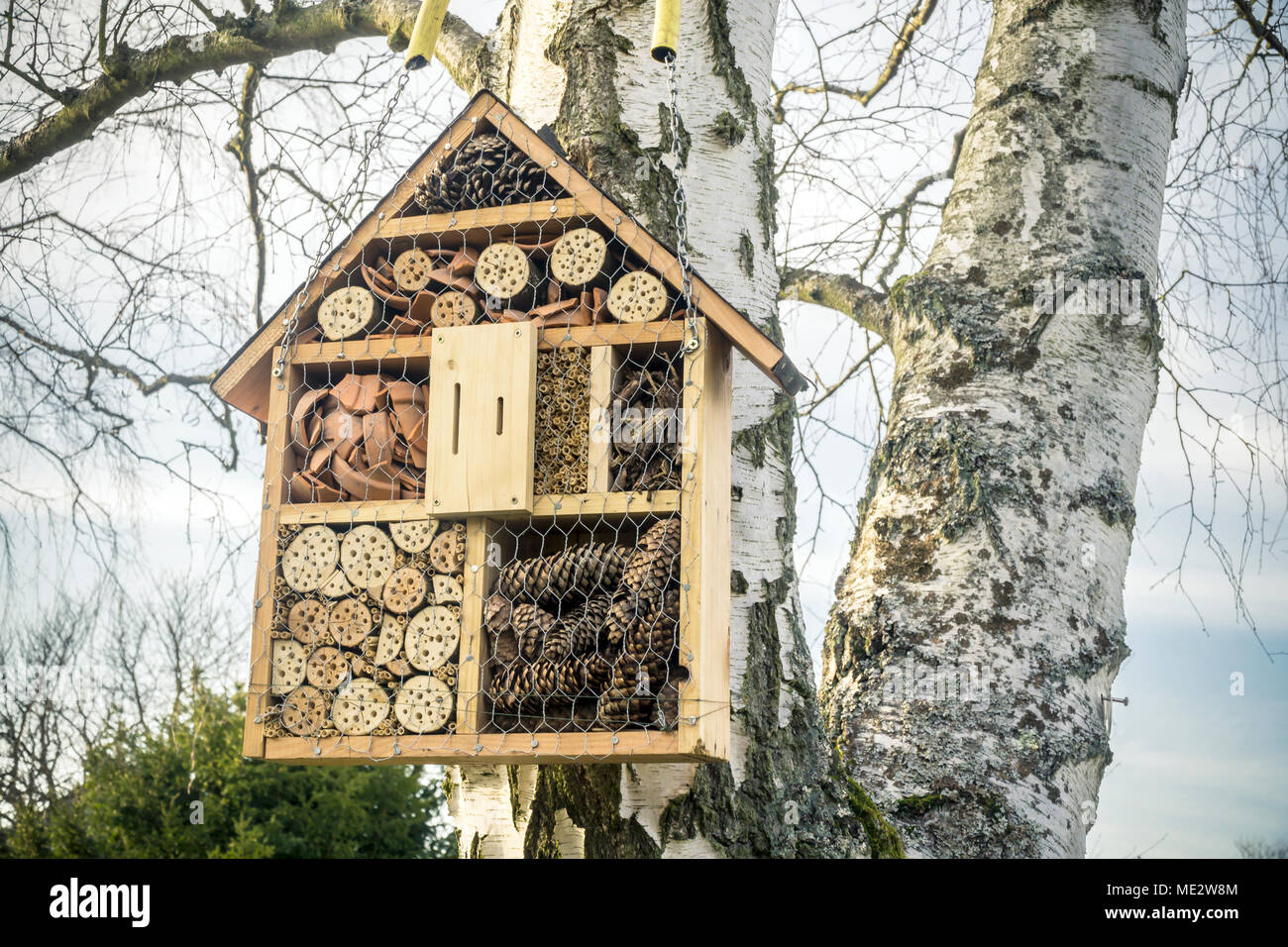 Insect house in the garden, protection for insects, insecten hotel ...
