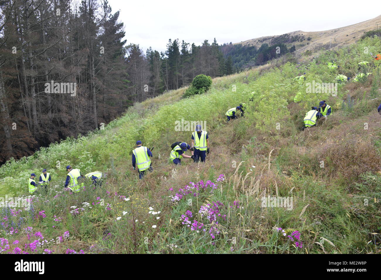 New zealand fire service hi-res stock photography and images - Alamy