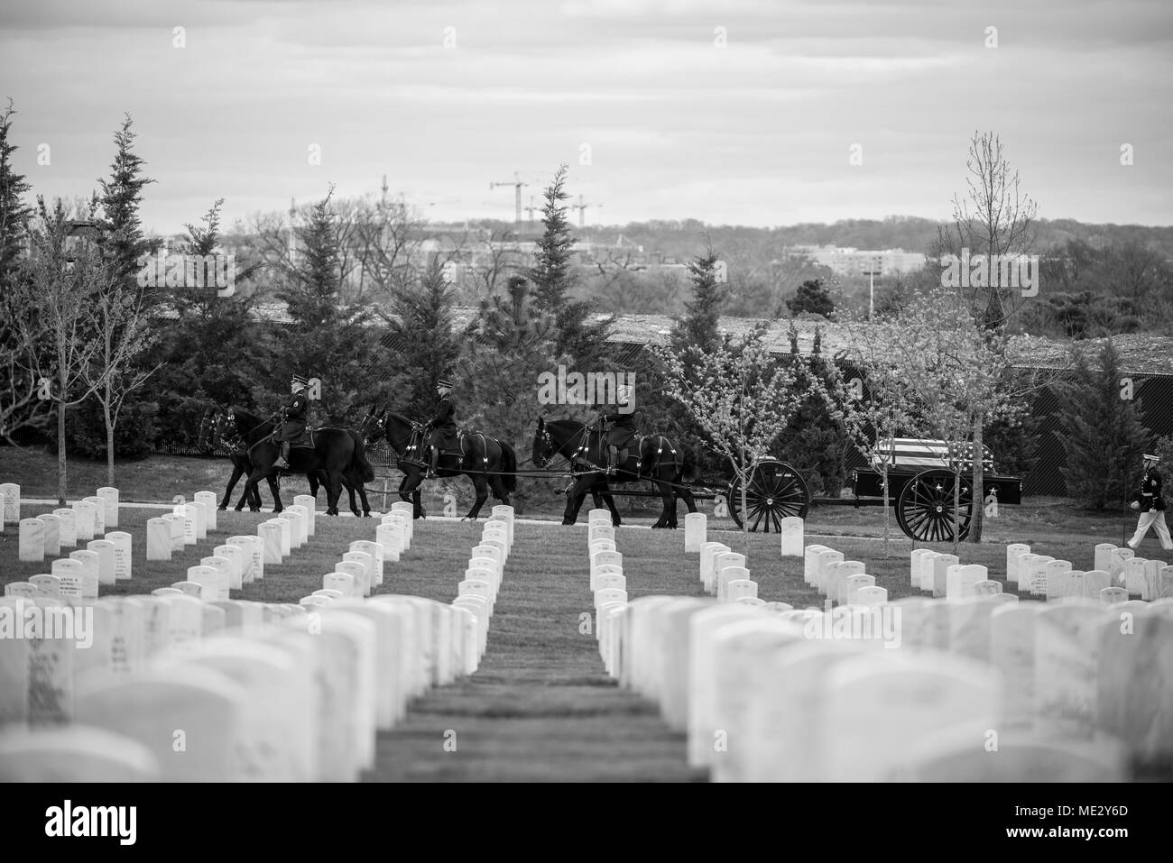 The 3d US Infantry Regiment (Old Guard) Caisson Platoon participates in ...