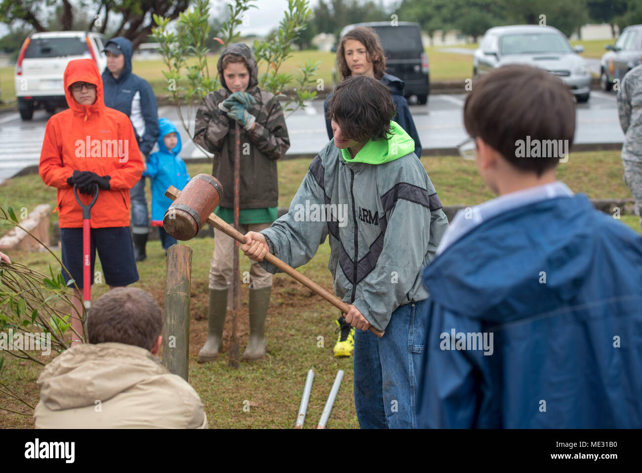 Scouts from Boy Scouts of America Troop 102 and 109 anchor a sapling ...