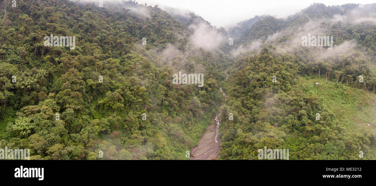 Aerial panorama of a mountain stream in a steep gully in pristine ...