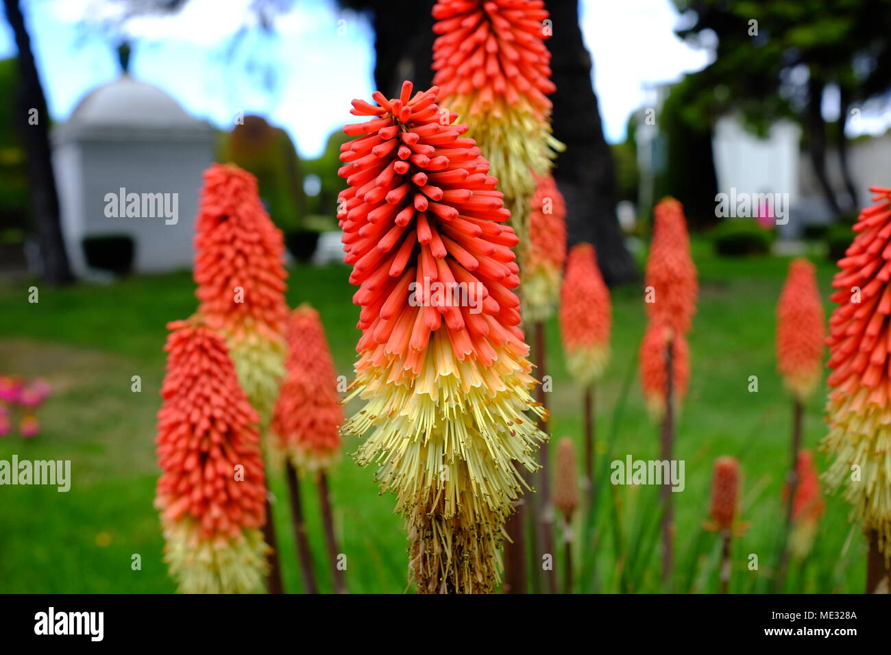 Colors of life Stock Photo - Alamy