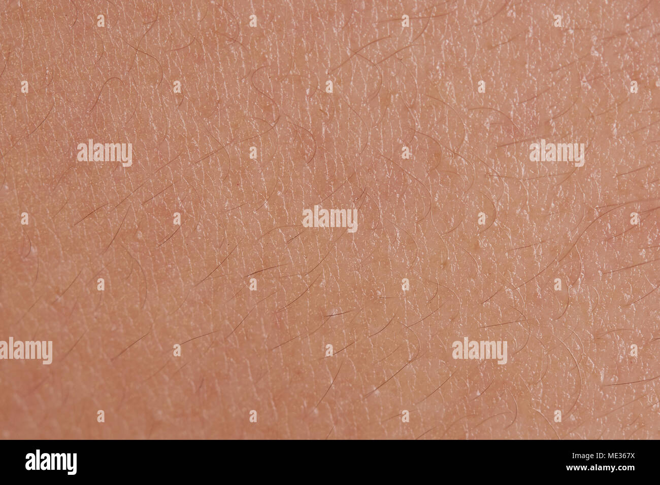 Human skin texture with small hair macro close up Stock Photo - Alamy