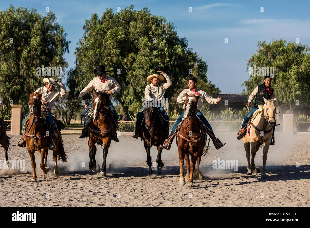 Caballero race horses in the arena at RANCHO DEL SOL DORADO - SAN ...