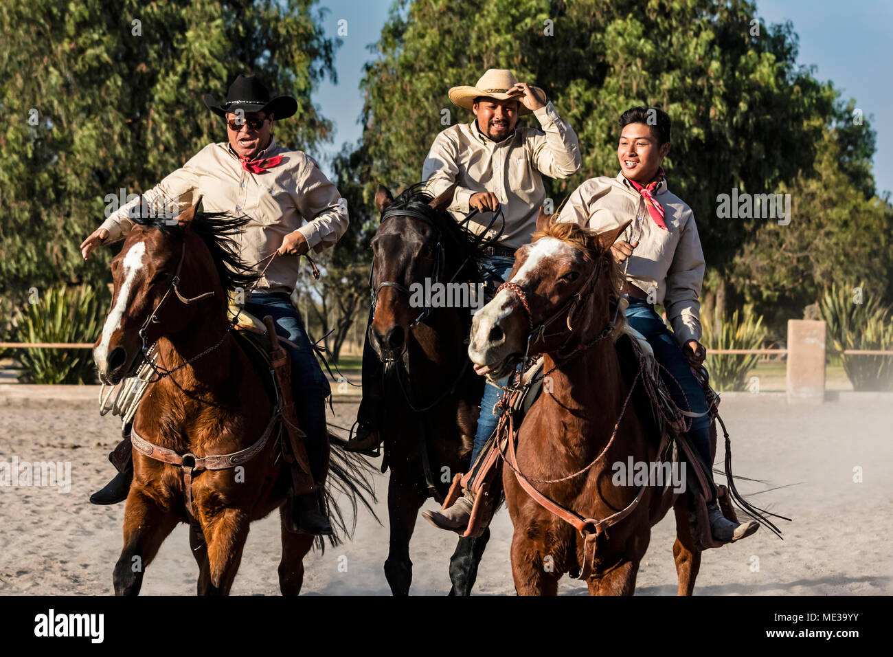 Mexican horseman hi-res stock photography and images - Alamy