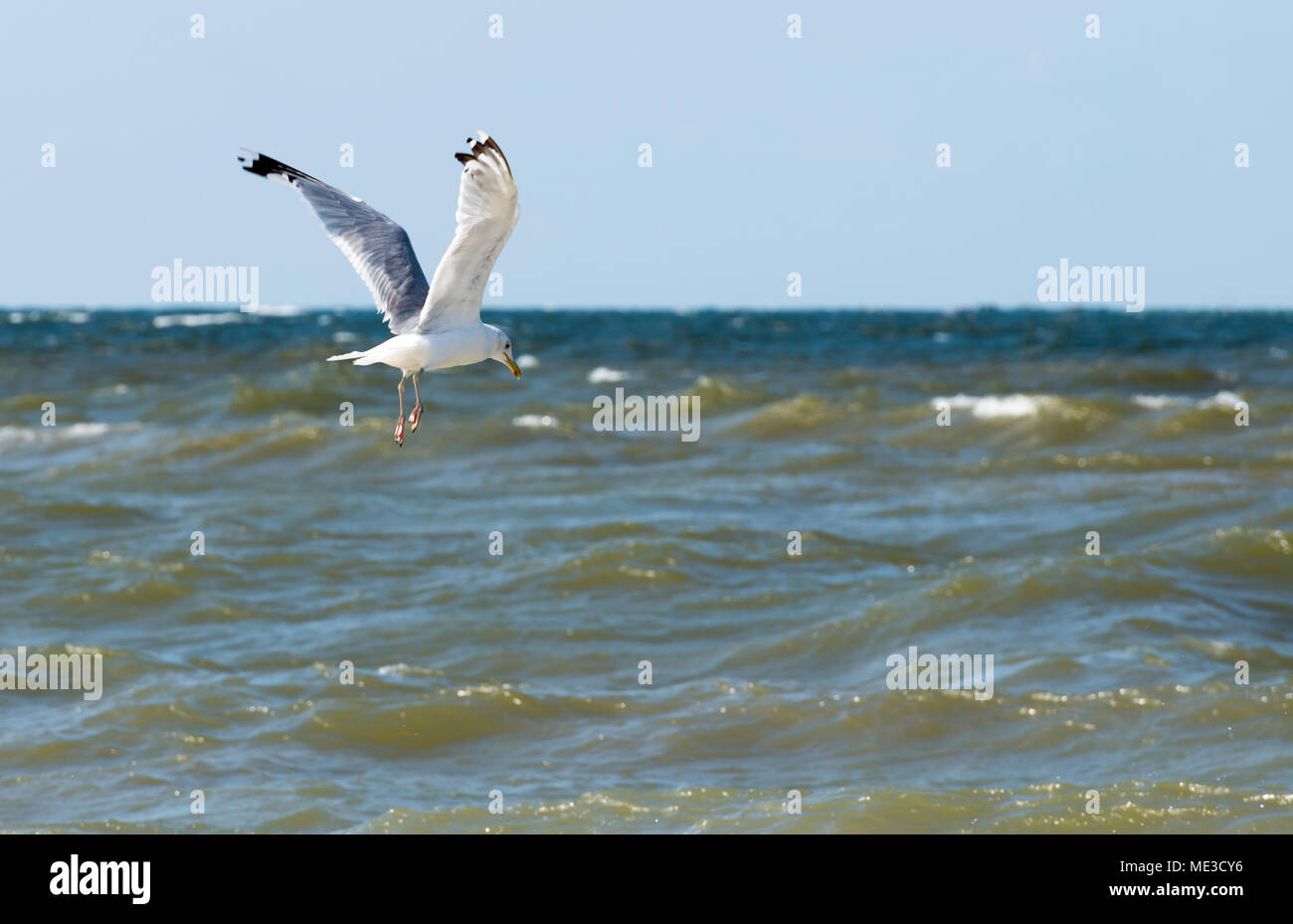 Fly over the ocean waves hi-res stock photography and images - Alamy