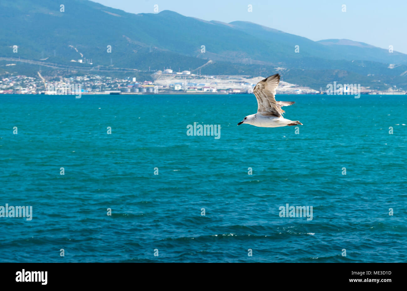 Height over the sea hi-res stock photography and images - Alamy