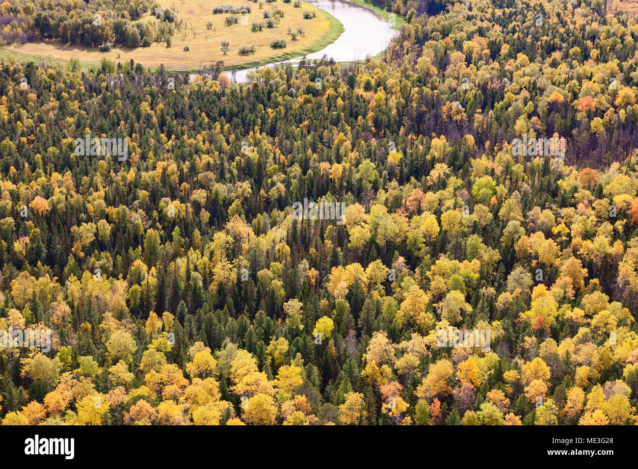Forest aerial view autumn hi-res stock photography and images - Alamy