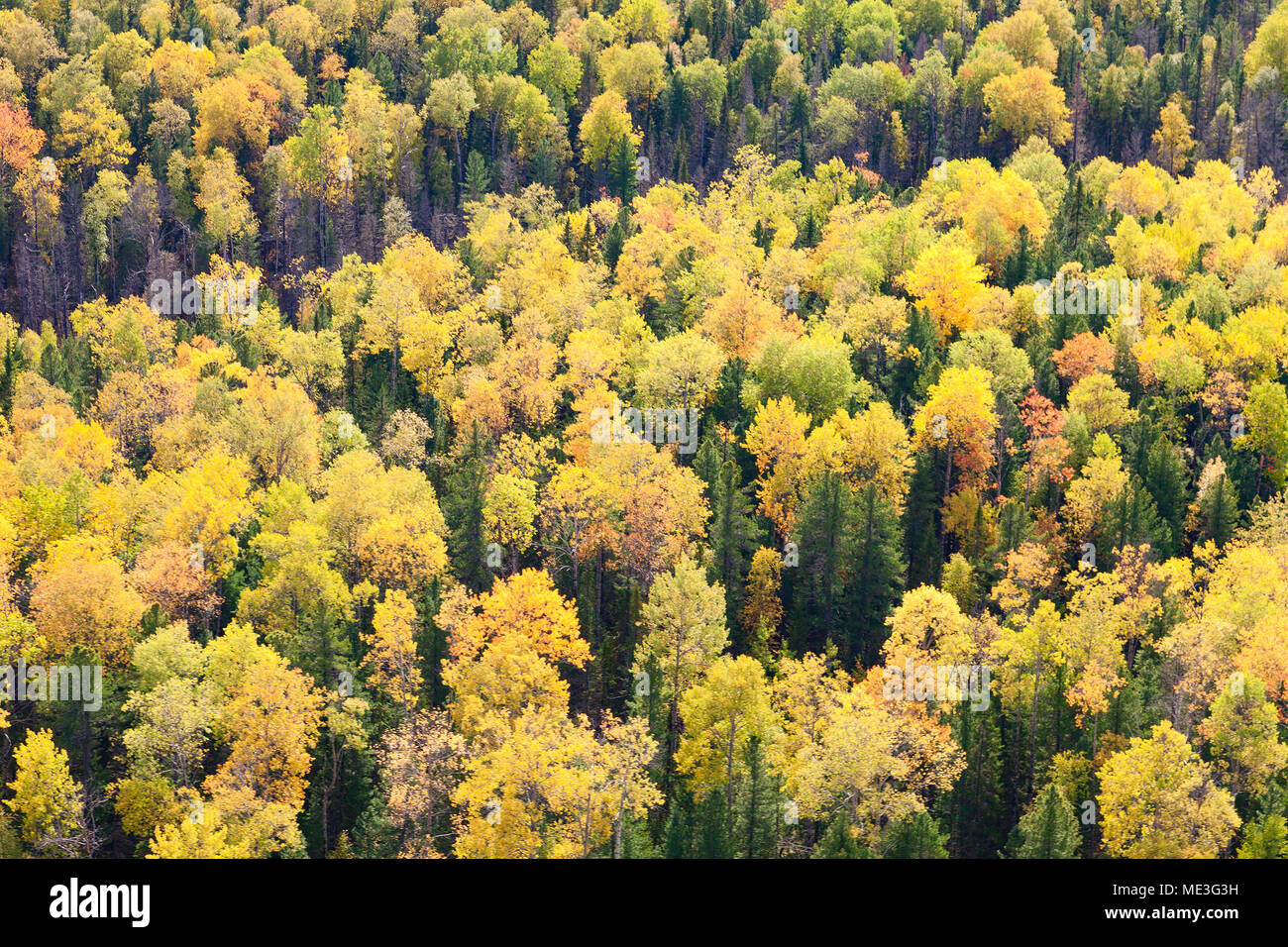 Aerial top view autumn landscape hi-res stock photography and images ...
