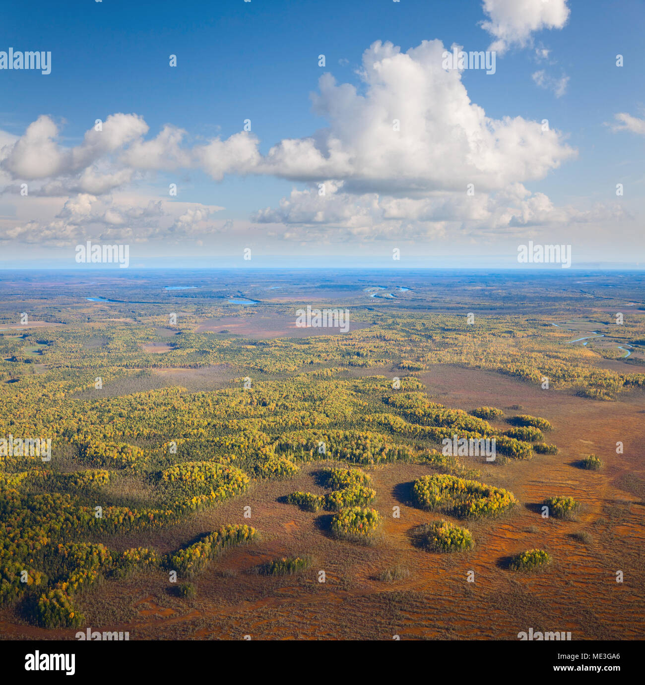 Beautiful marshes hi-res stock photography and images - Alamy