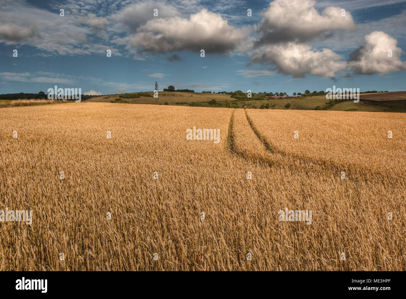 The Meon Valley, Hampshire, UK Stock Photo - Alamy