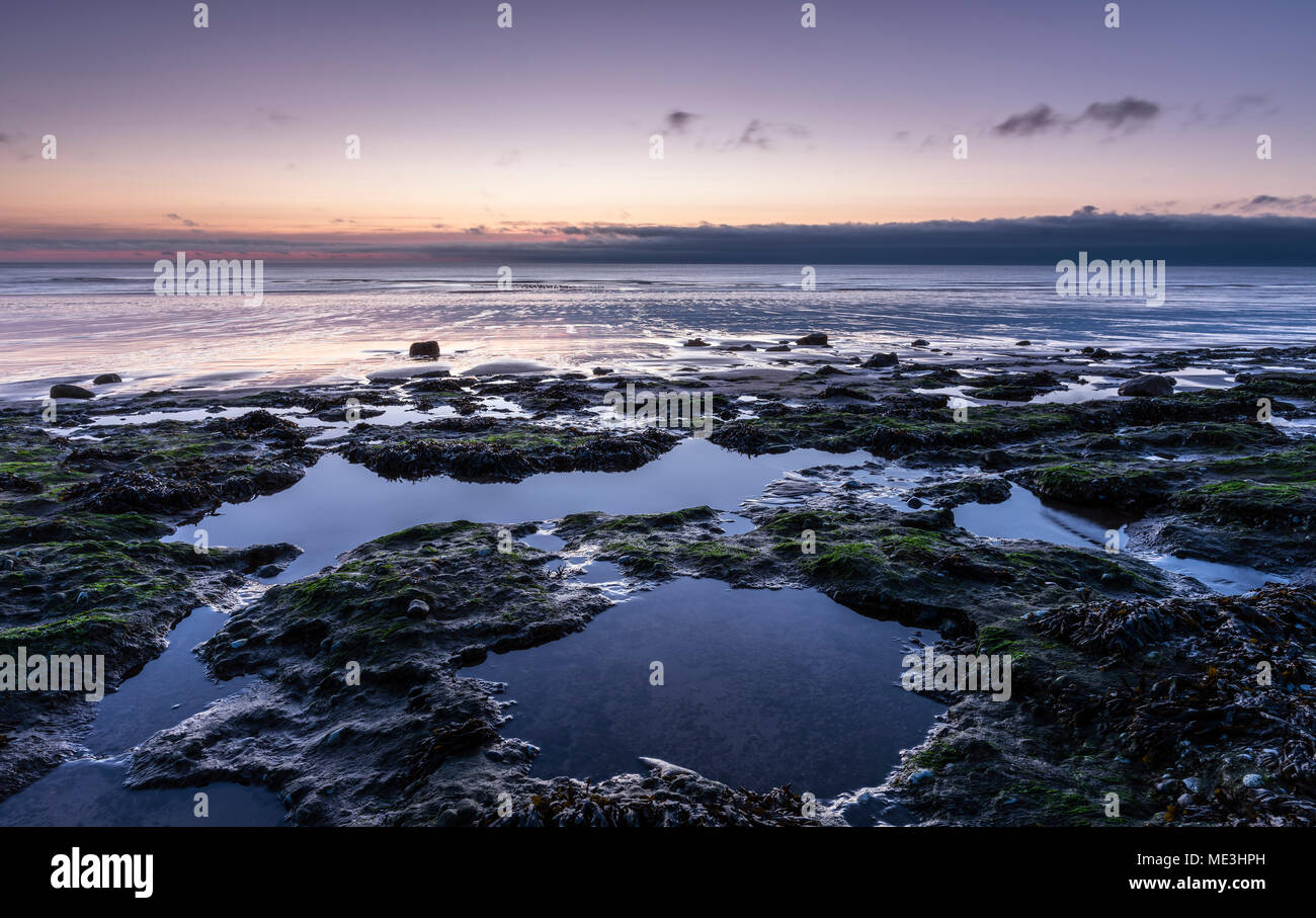 Rock pools at blue hour Stock Photo - Alamy