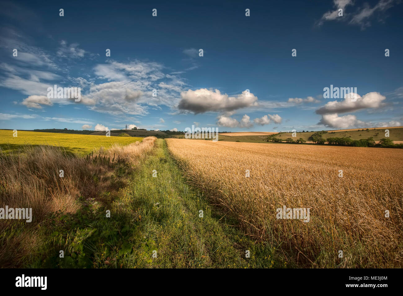 The Meon Valley, Hampshire, UK Stock Photo - Alamy