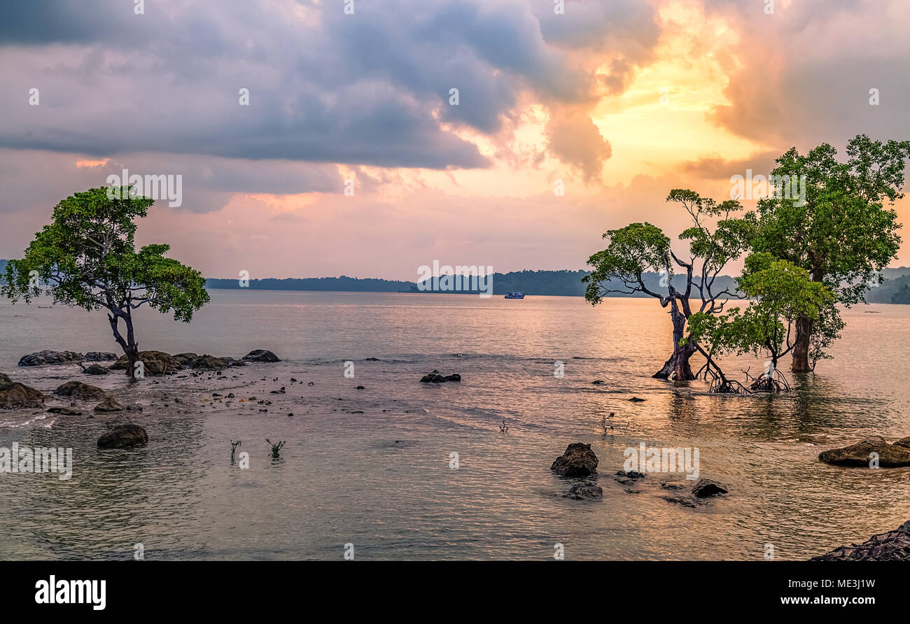 Port blair chidiya hi-res stock photography and images - Alamy