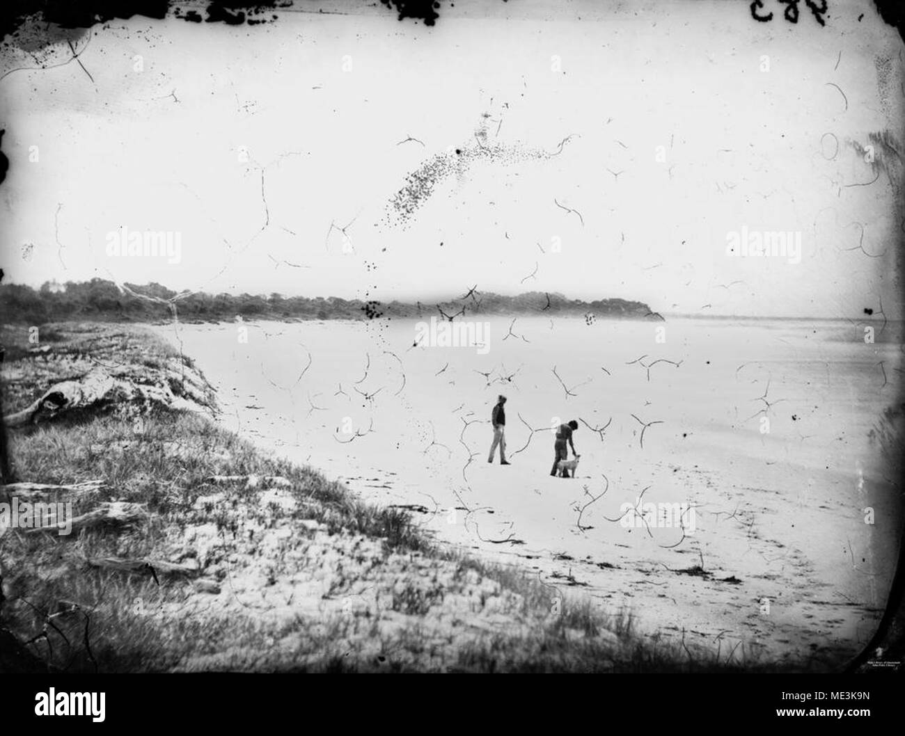 View of Miami Beach, 1872 Stock Photo - Alamy