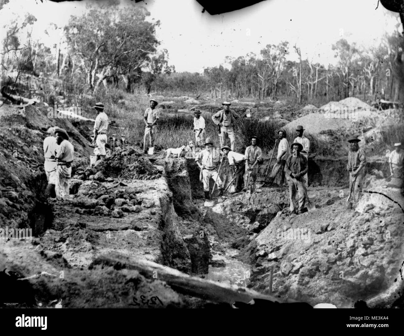 Tin miners and their dogs in the Stanthorpe district, 1872 Stock Photo ...