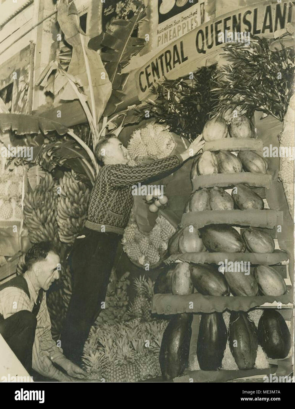 Fruit display at a local agricultural show, South East Queensland Stock ...