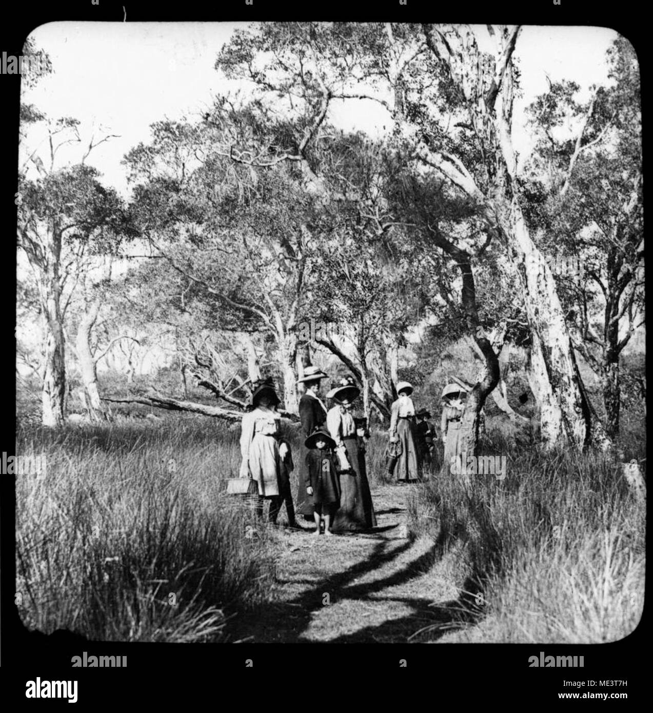 Group of women and children walking in the bush at Stock Photo - Alamy
