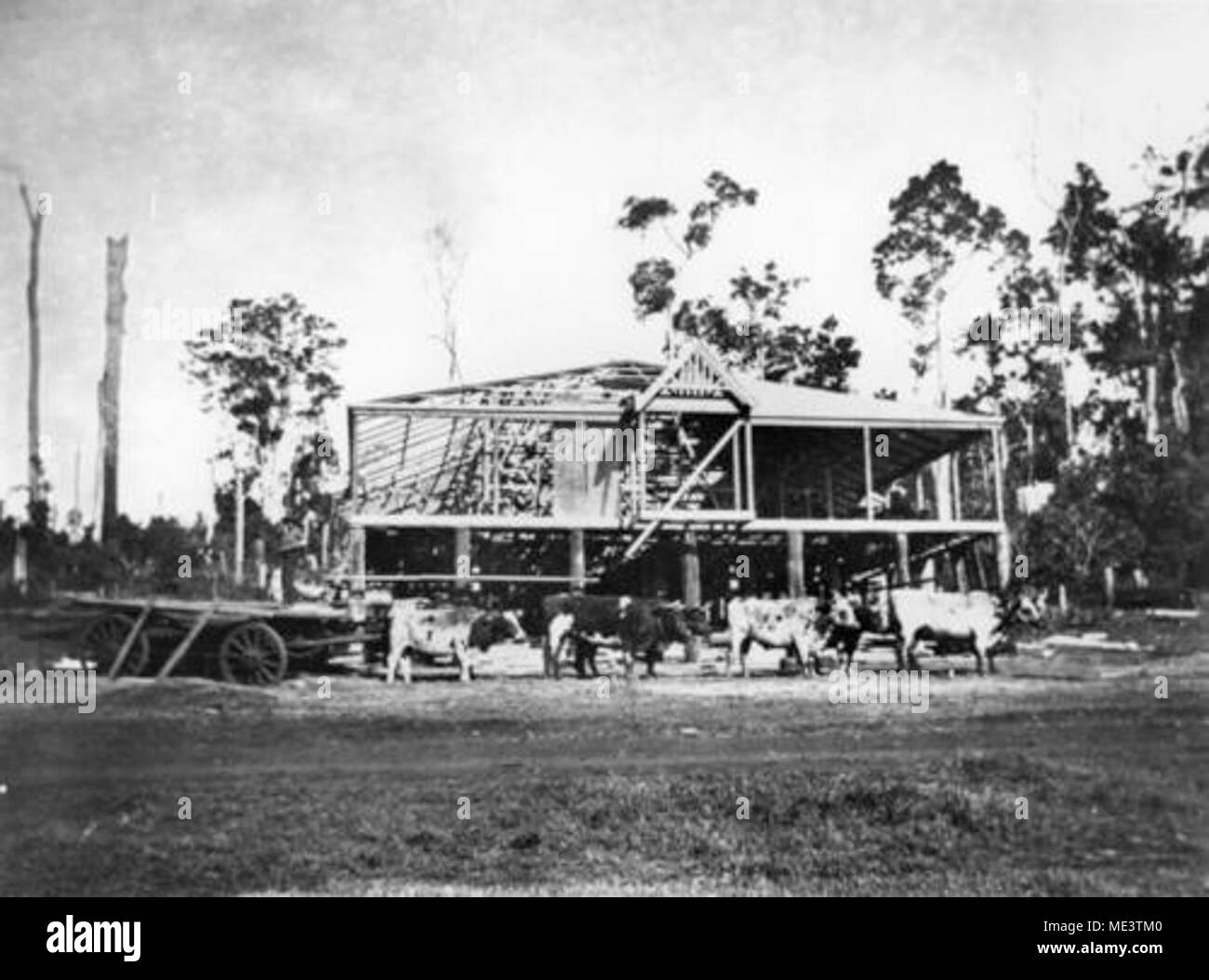 Construction of a Queenslander home Stock Photo - Alamy