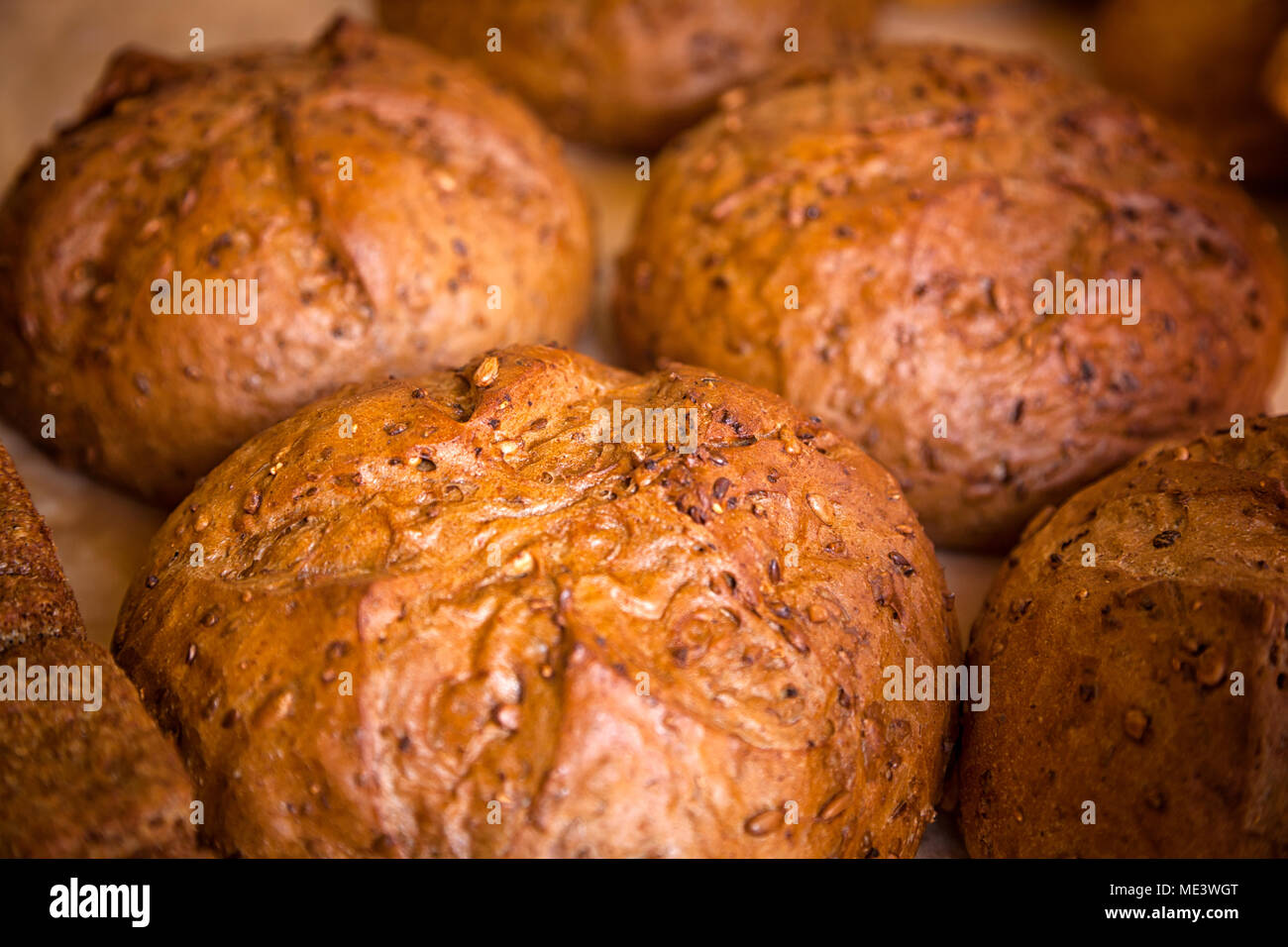 Close-up of fresh white bread in rolls stands in even rows in a bakery ...