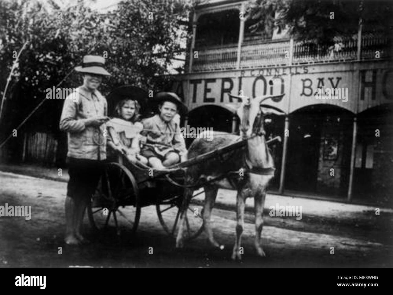 Small wagon being pulled by a goat, pictured outside the Stock Photo ...