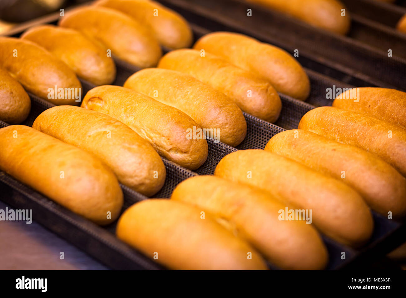 Close-up of fresh delicious buns with sausages lie in straight rows on ...
