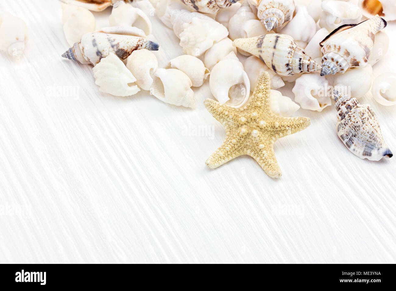 Shellfish assortment hi-res stock photography and images - Alamy