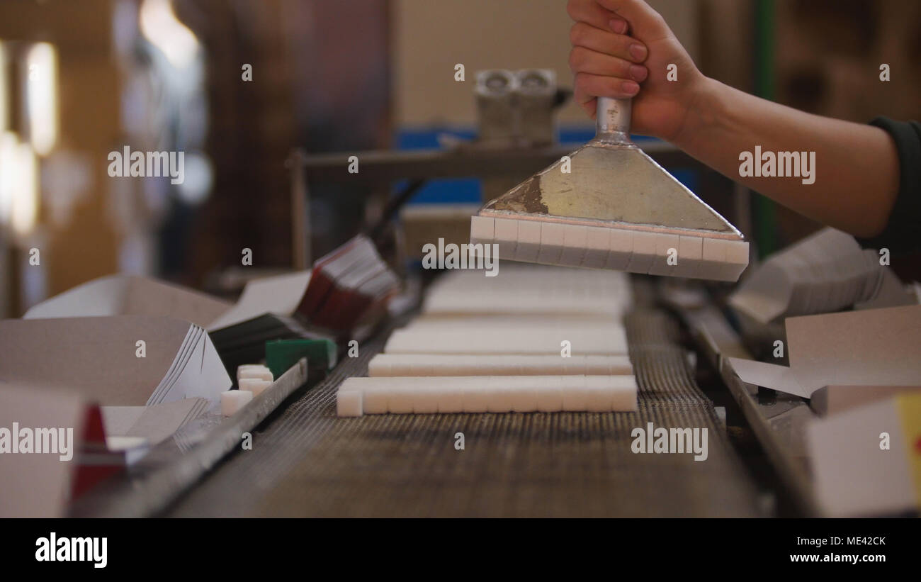 Worker takes sugar from production line at the sugar refinery Stock ...
