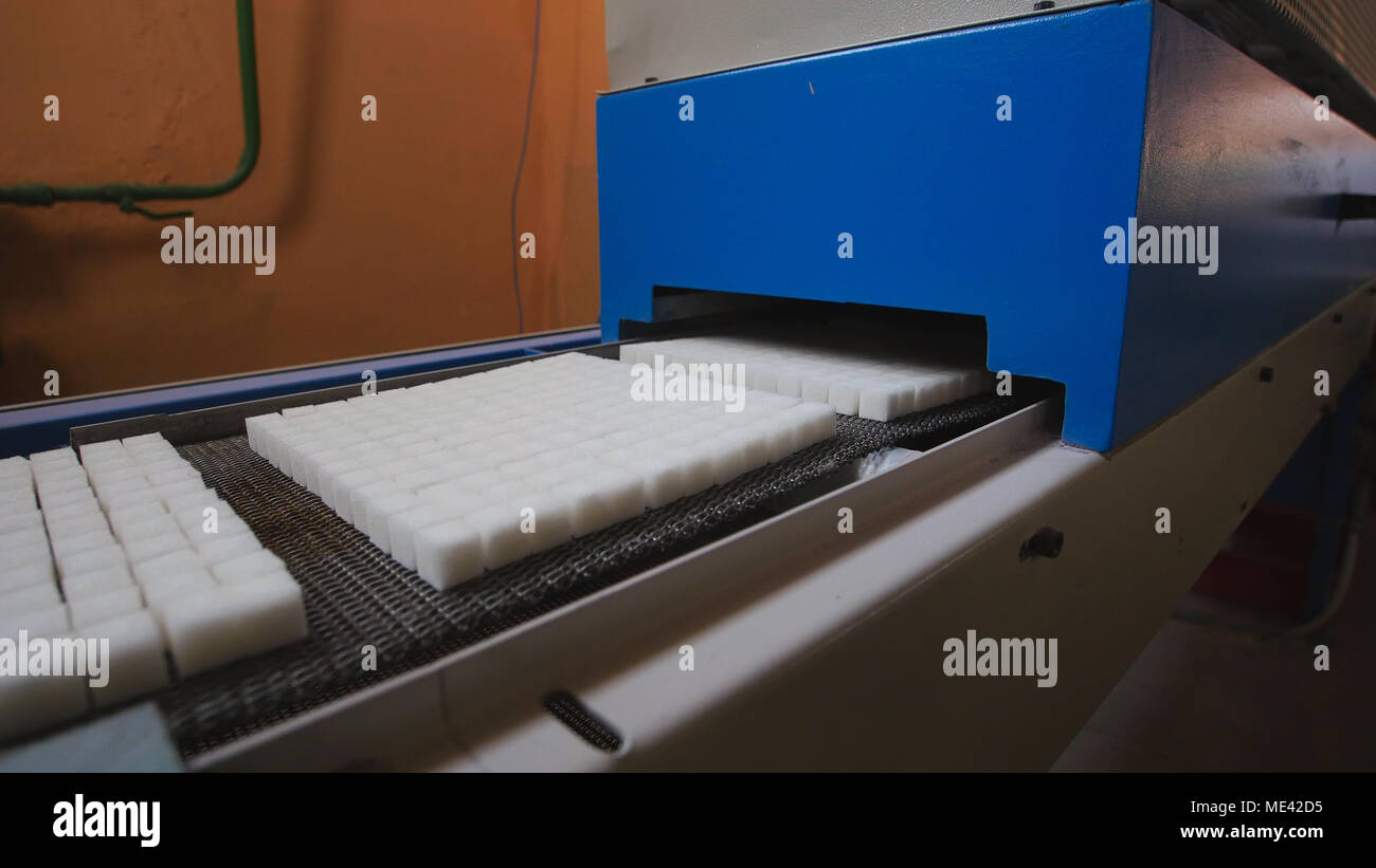 Conveyor belt for the production of sugar at the sugar factory Stock ...