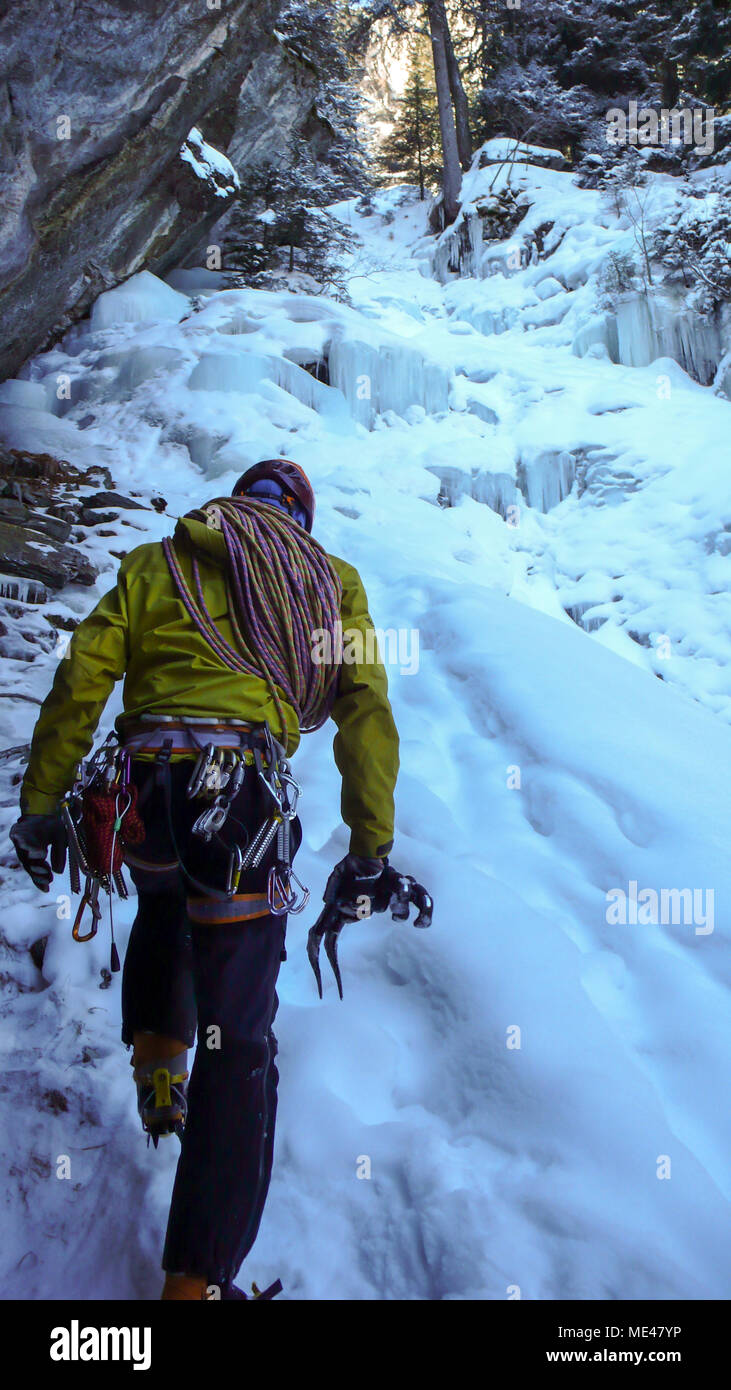 male ice climber hiking through a dark forest on his approach to a ...