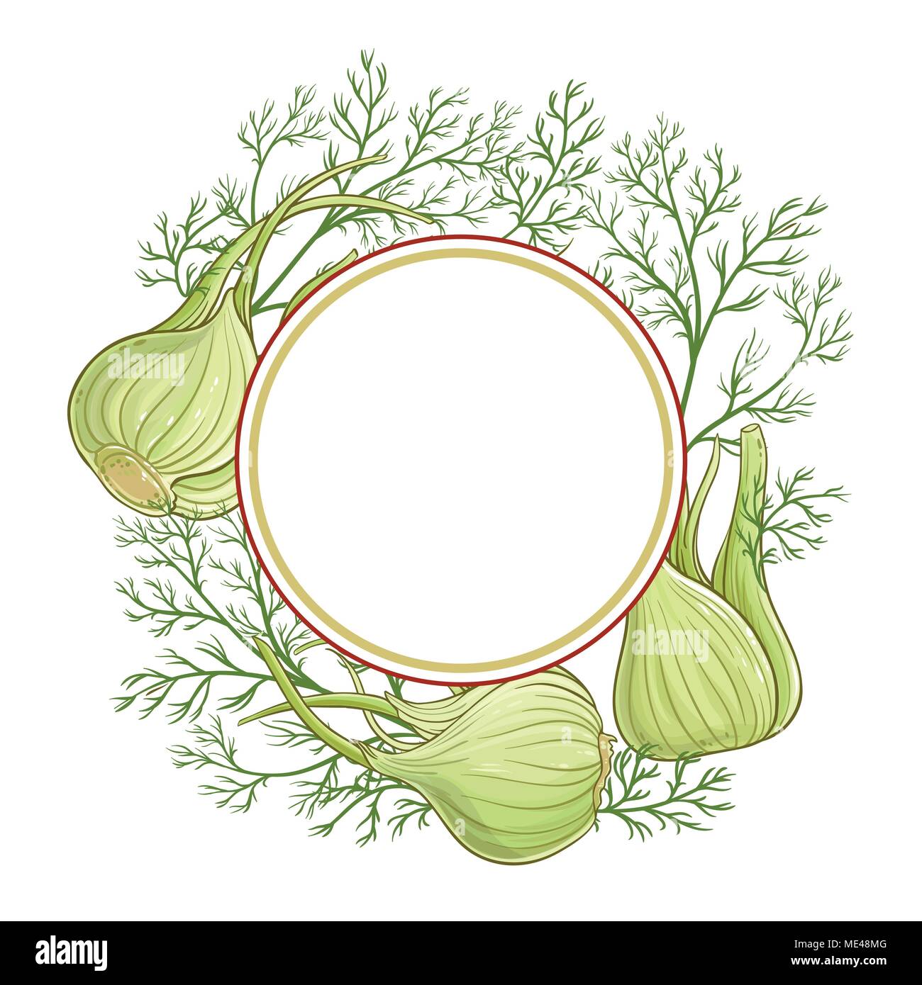 fennel plant vector frame on white background Stock Vector Image & Art ...