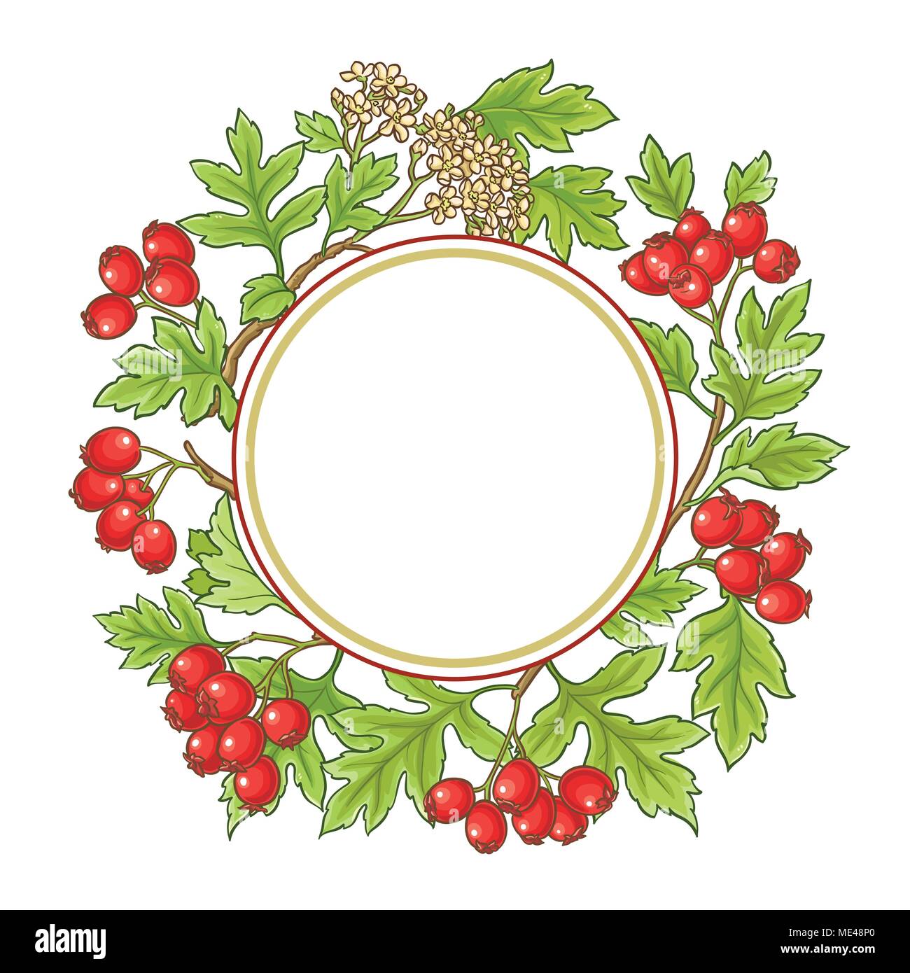 Vitamin supplements on white Stock Vector Images - Alamy