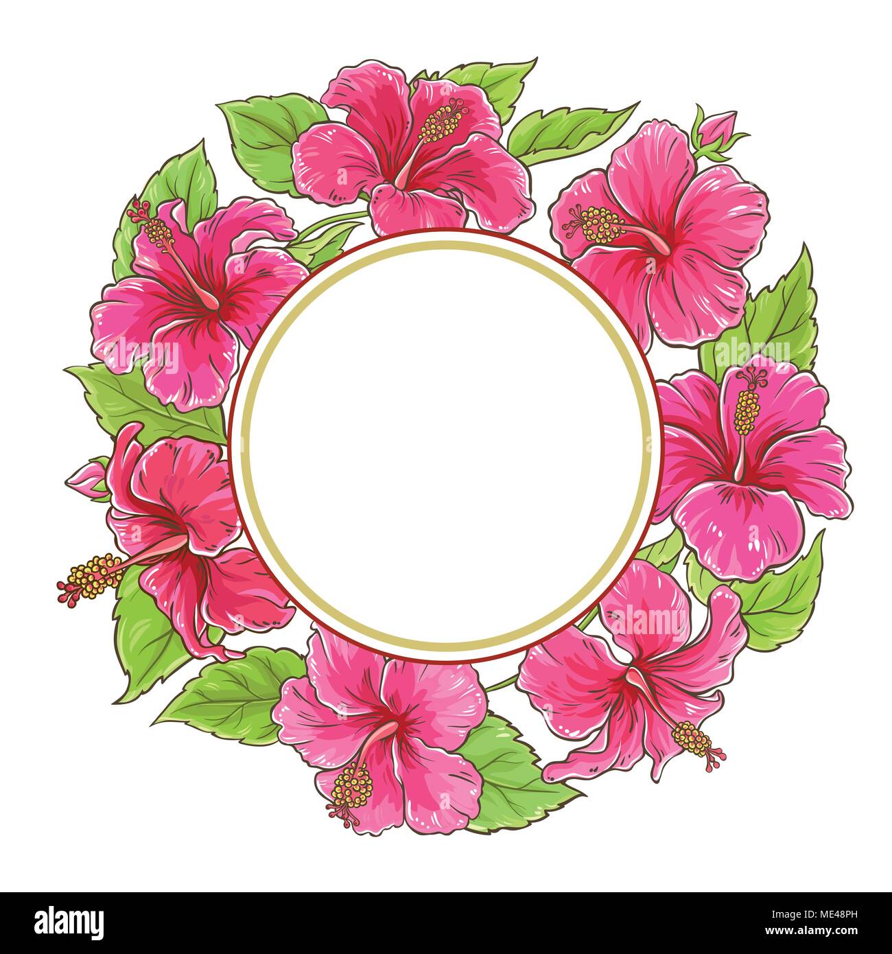 hibiscus flowers vector frame on white background Stock Vector Image ...