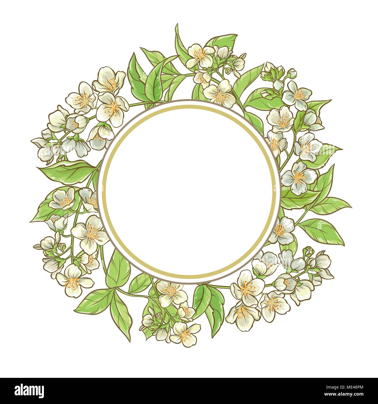 jasmine branch vector frame on white background Stock Vector Image ...