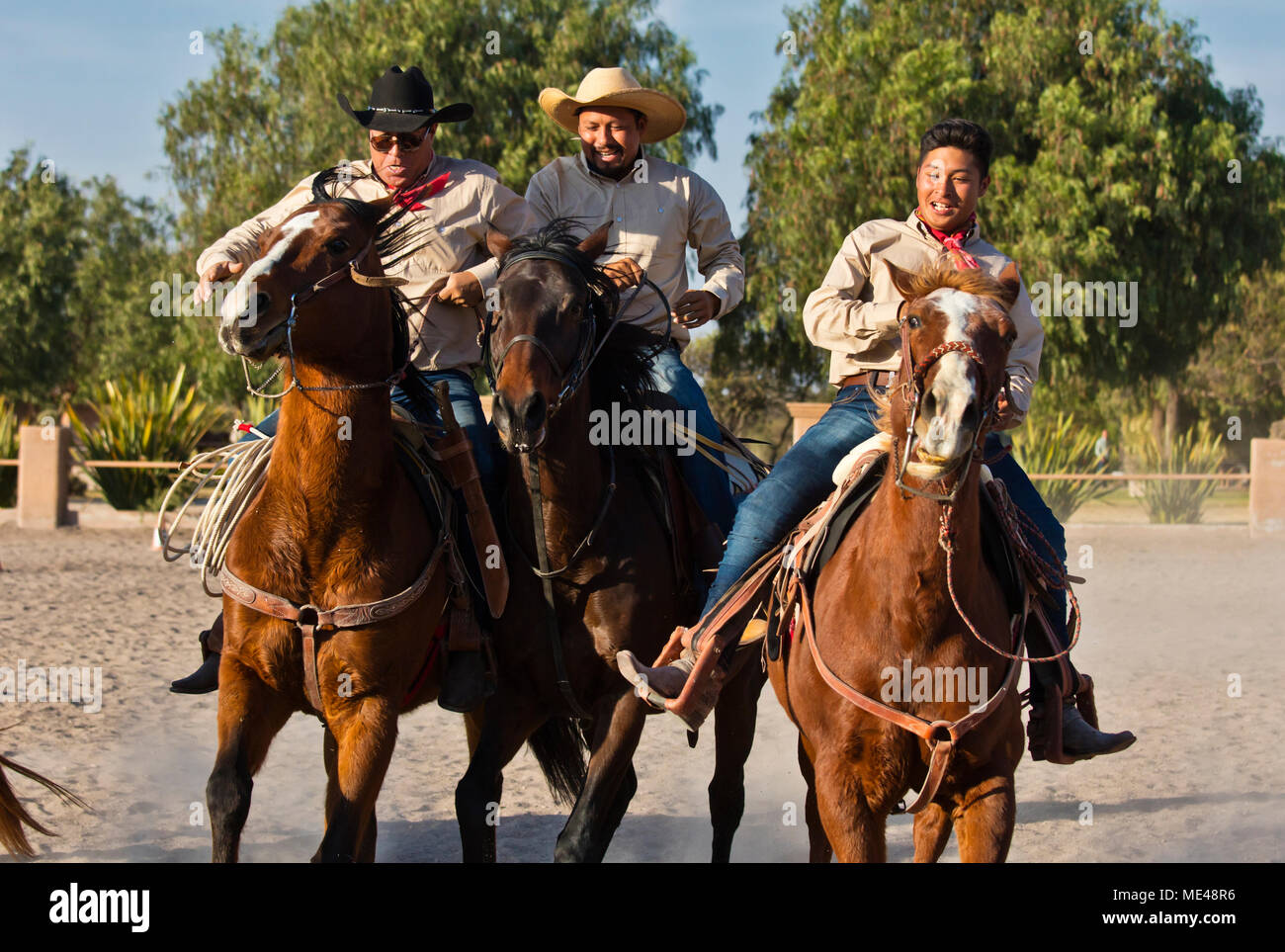 Mexican cowboy horse hi-res stock photography and images - Alamy