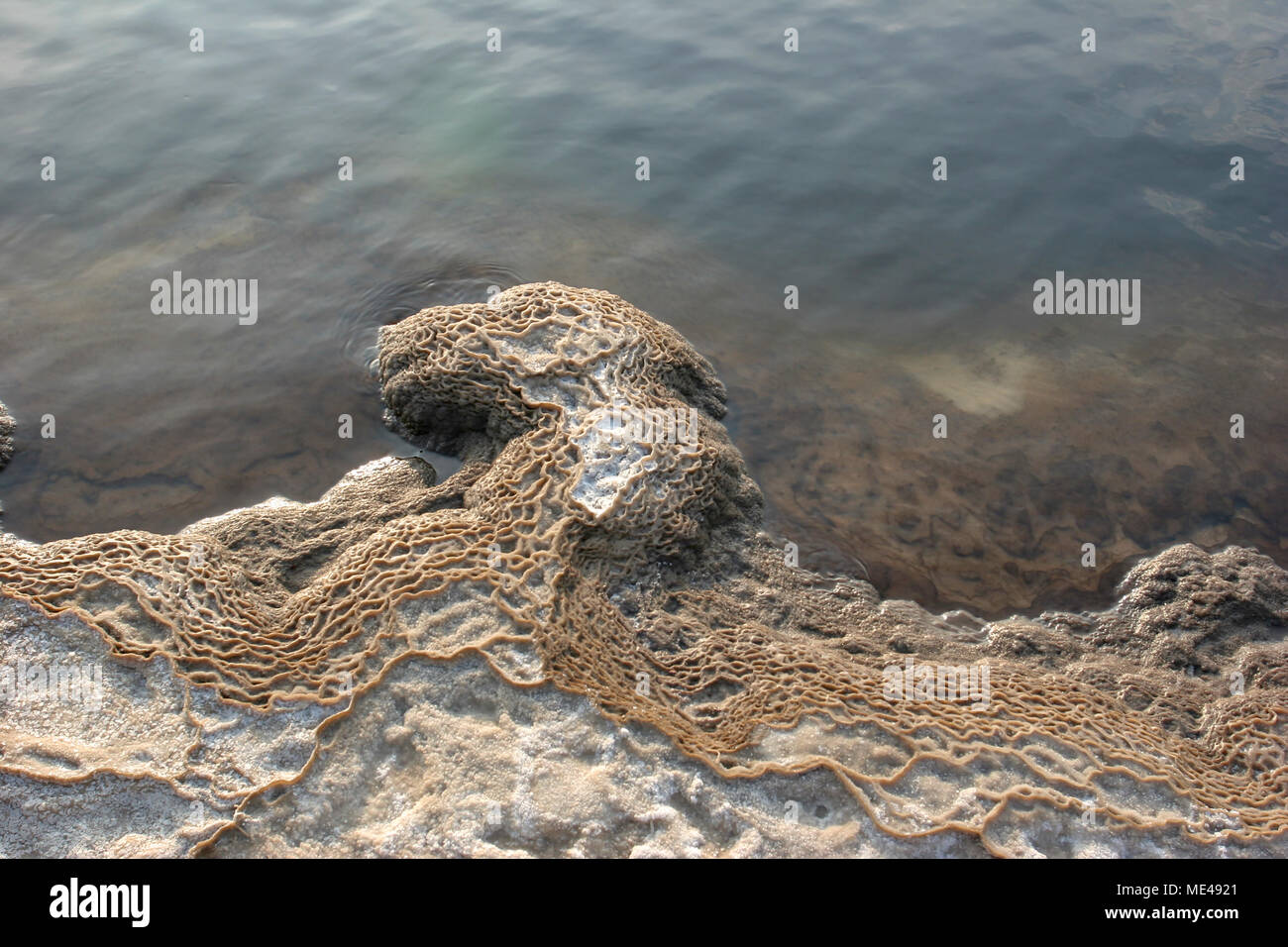 Salt formation on the shore of the Dead Sea, Israel Stock Photo - Alamy