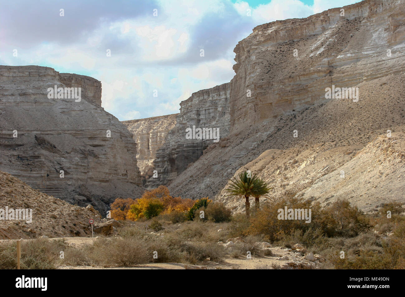 Israel, Negev, looking out towards Ein Ovdat and the Wadi Zin valley ...