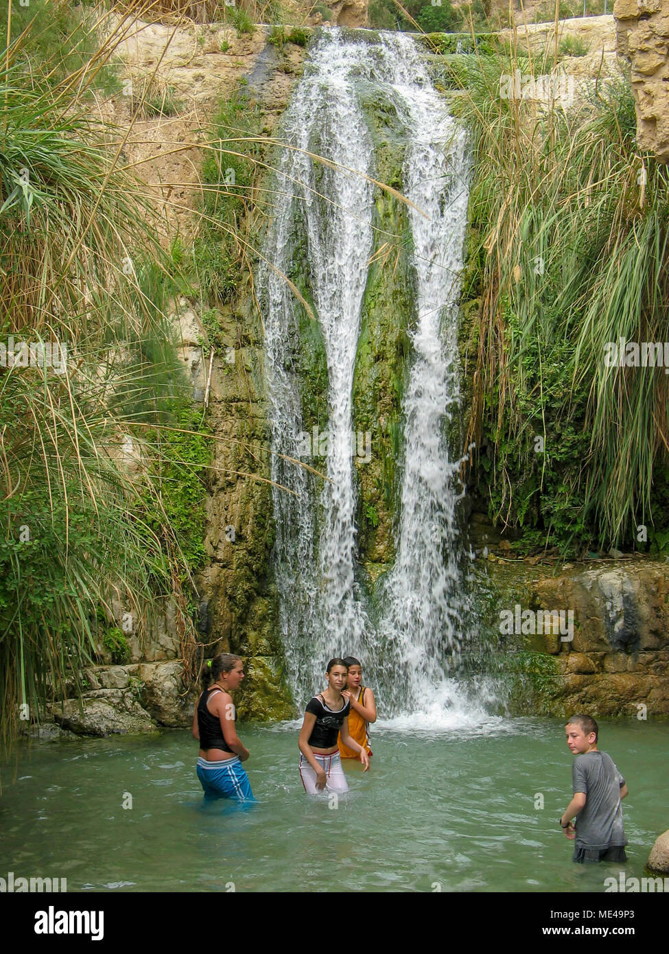 Israel, Dead Sea, Ein Gedi national park the waterfall in Wadi David ...